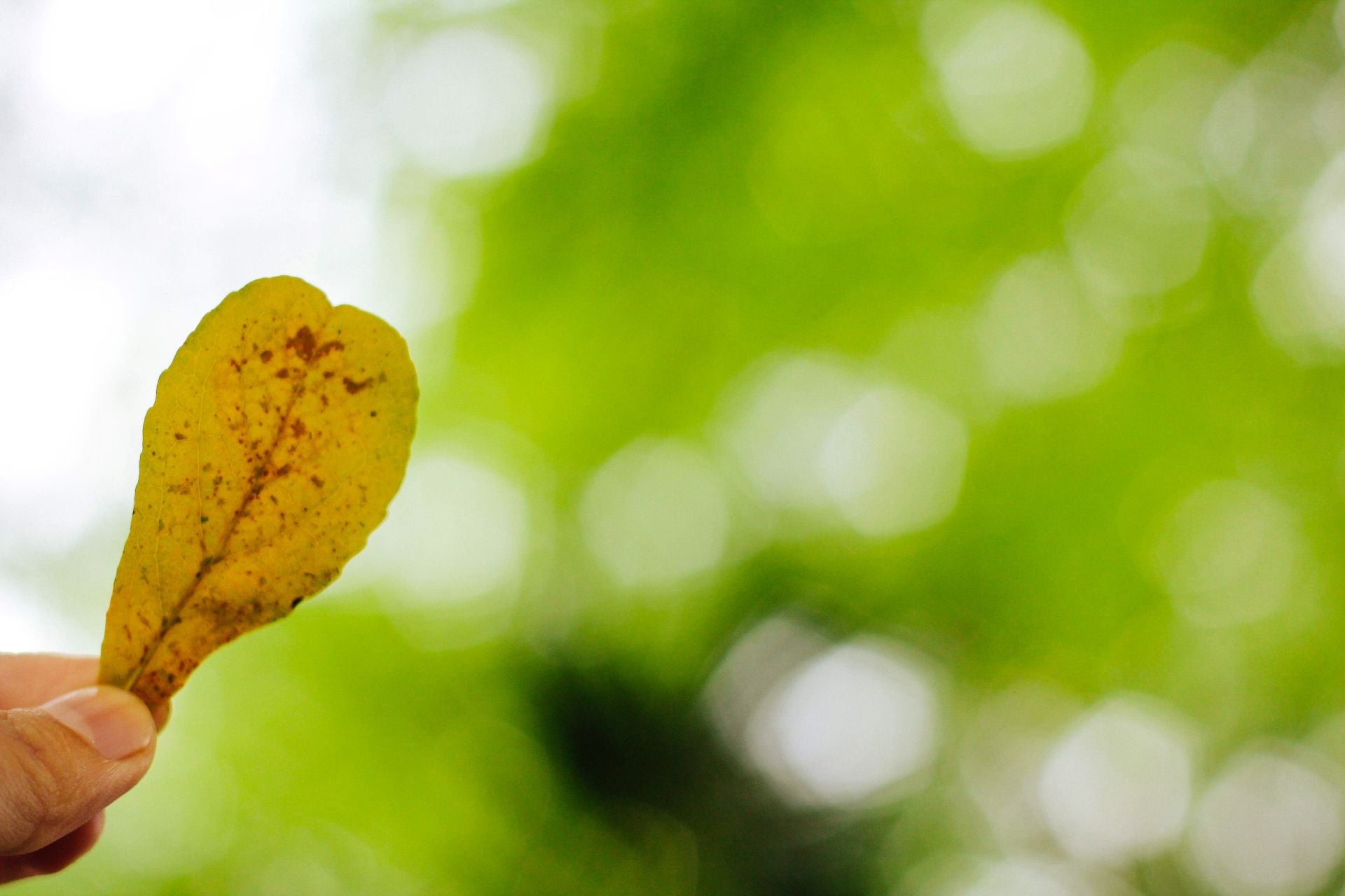 How to Use Your Climate Vouchers: Save More with NNIO